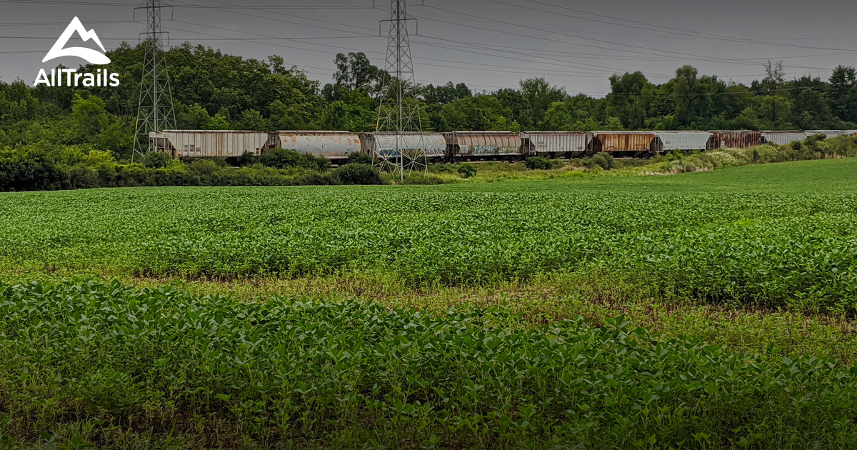 Best hikes and trails in Whitmore Lake | AllTrails