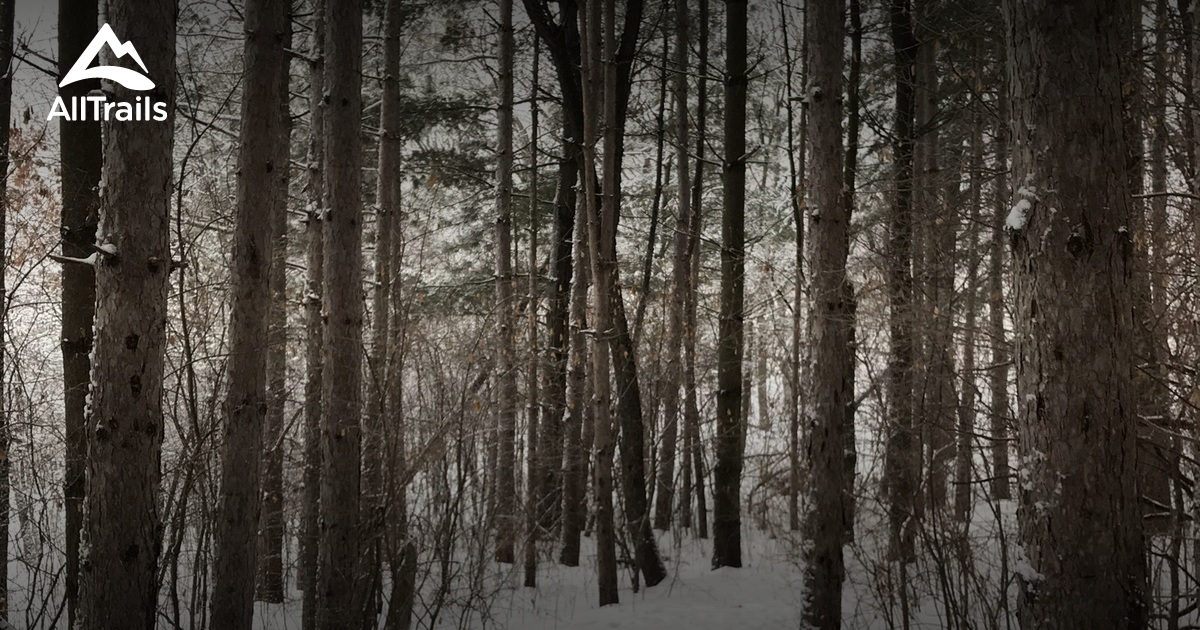 Best hikes and trails in Apple Valley | AllTrails