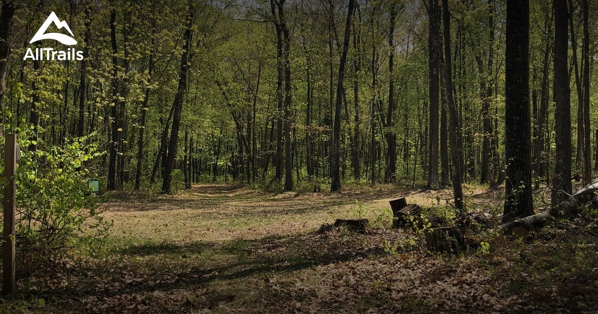 Best hikes and trails in Bemidji | AllTrails