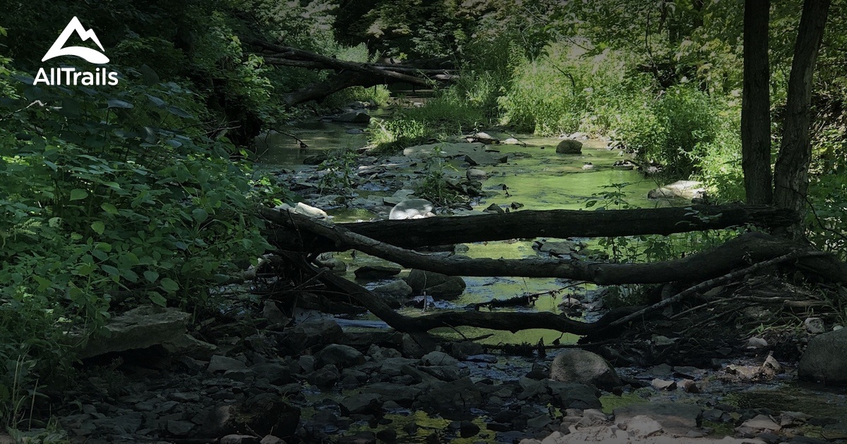 Best hikes and trails in Cannon City | AllTrails