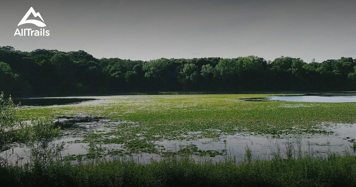 De beste routes langs meren in Hopkins | AllTrails