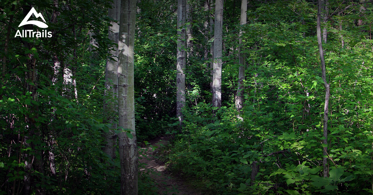 Best hikes and trails in Inver Grove Heights | AllTrails