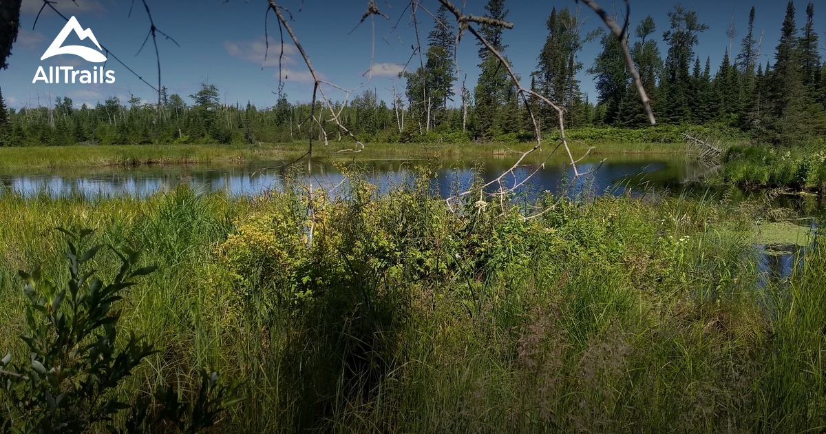 Best hikes and trails in Knife River | AllTrails