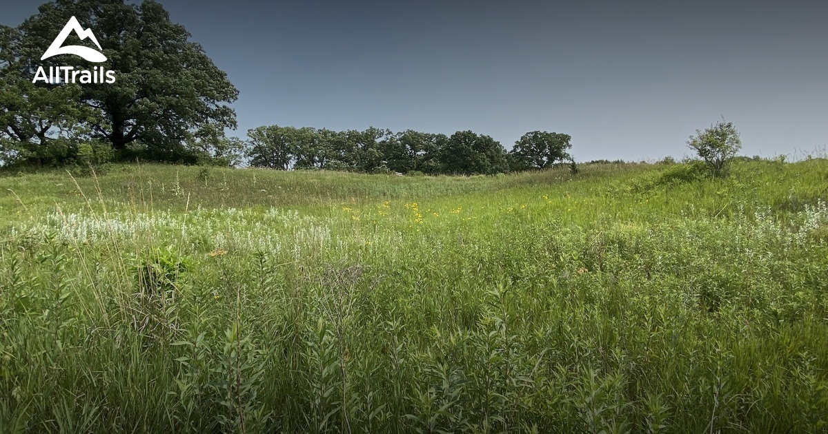 Best easy trails in Lake Andrew | AllTrails