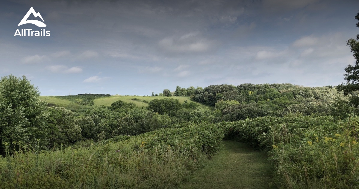 Best hikes and trails in Lakefield | AllTrails