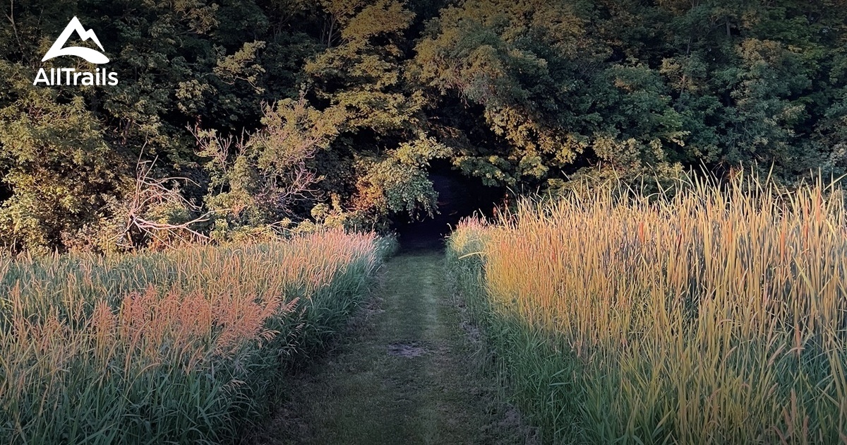 Best hikes and trails in Medina | AllTrails