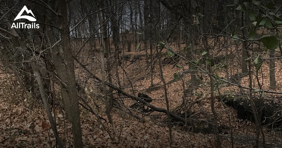 Best hikes and trails in Mound | AllTrails