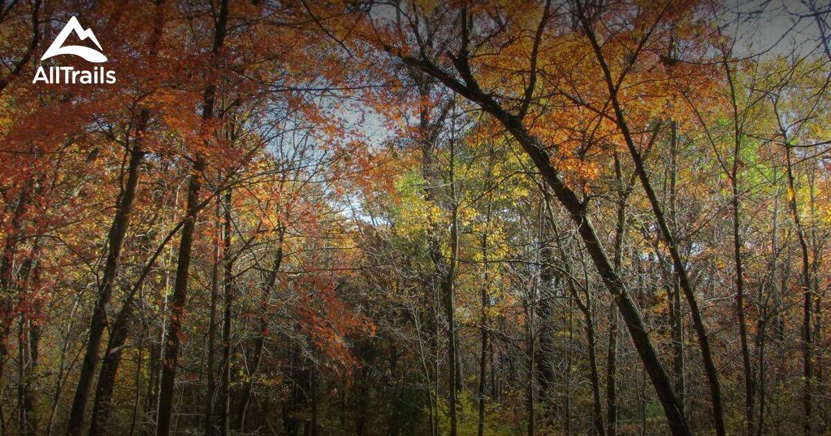 Best forest trails in Oak Grove | AllTrails