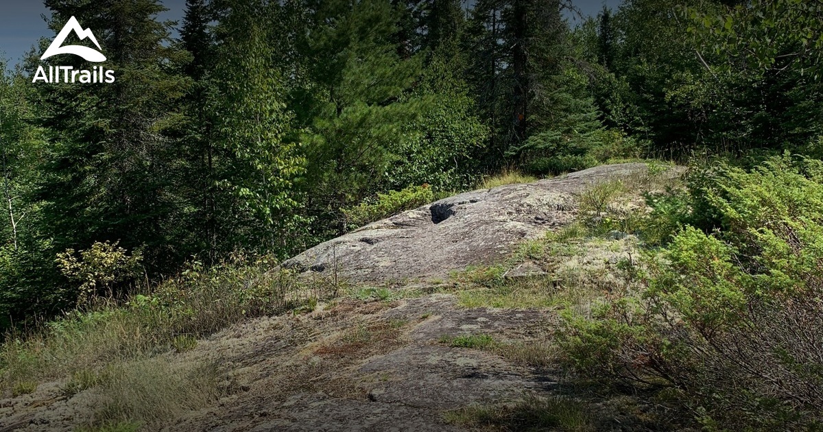 Best hikes and trails in Ranier | AllTrails