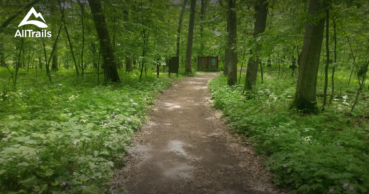 Best hikes and trails in Silver Creek | AllTrails