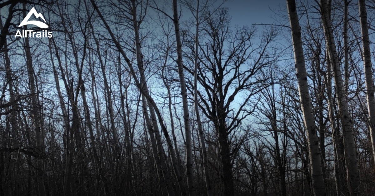 Best easy trails in Thief River Falls | AllTrails