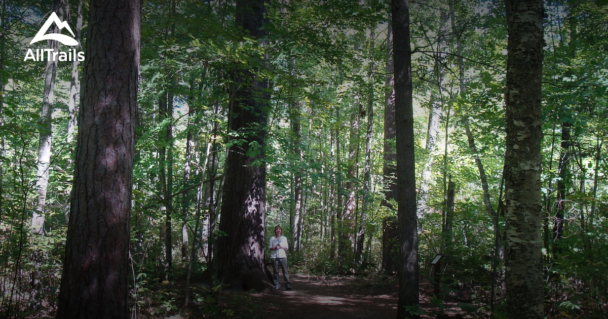 Best hikes and trails in Wirt | AllTrails