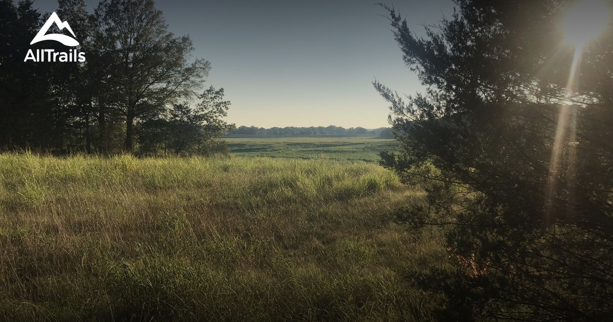 Best walking trails in Belden | AllTrails