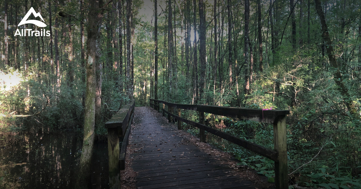 Best hikes and trails in McComb | AllTrails