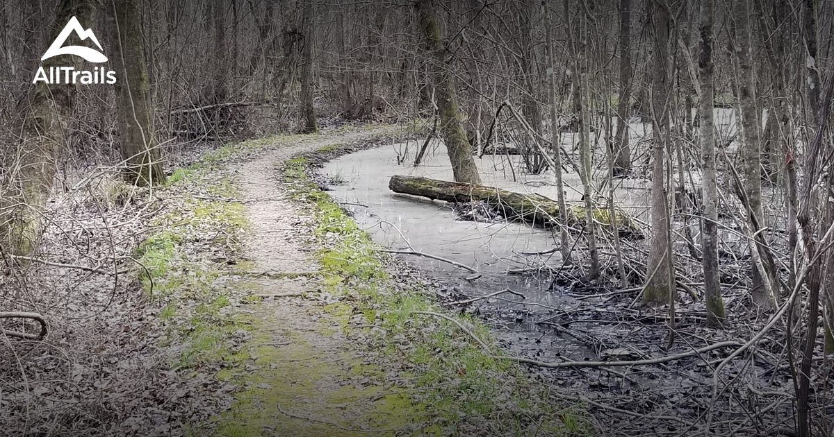 Best hikes and trails in McCool | AllTrails