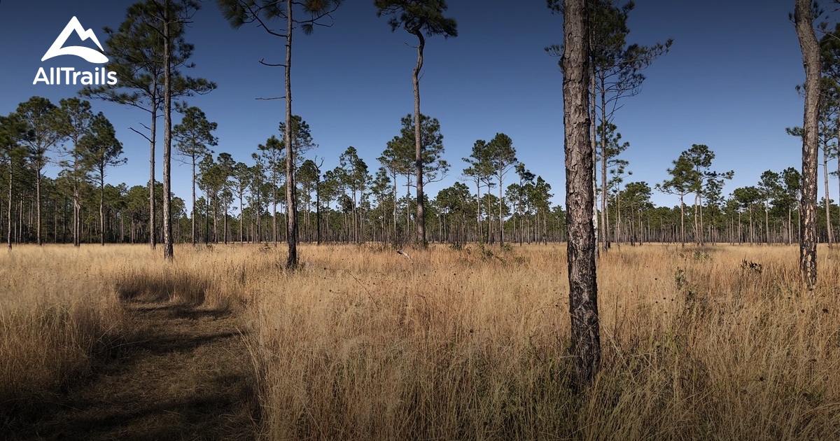 Best hikes and trails in Moss Point | AllTrails