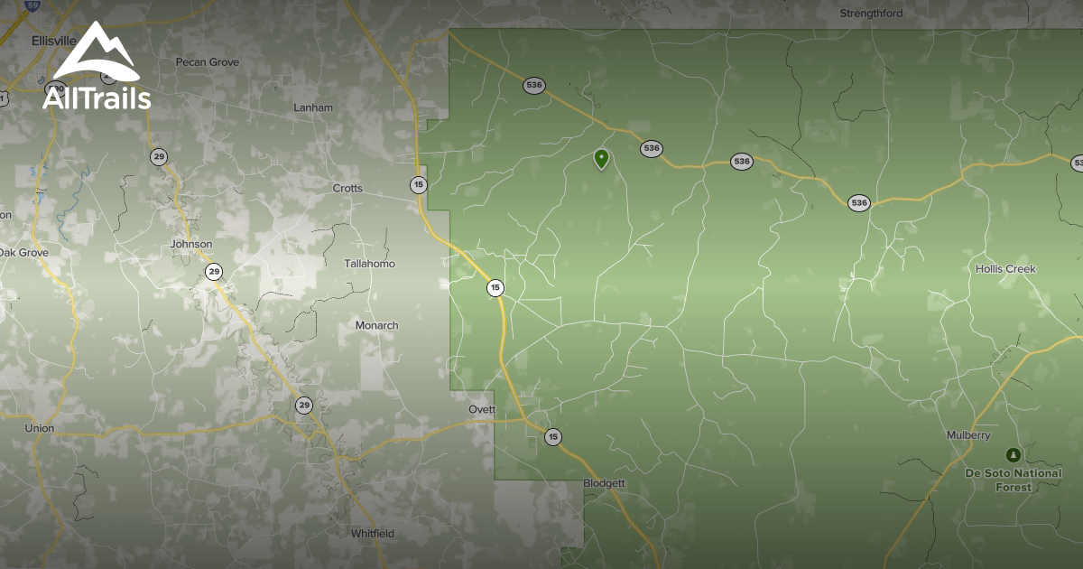 Best forest trails in Ovett | AllTrails