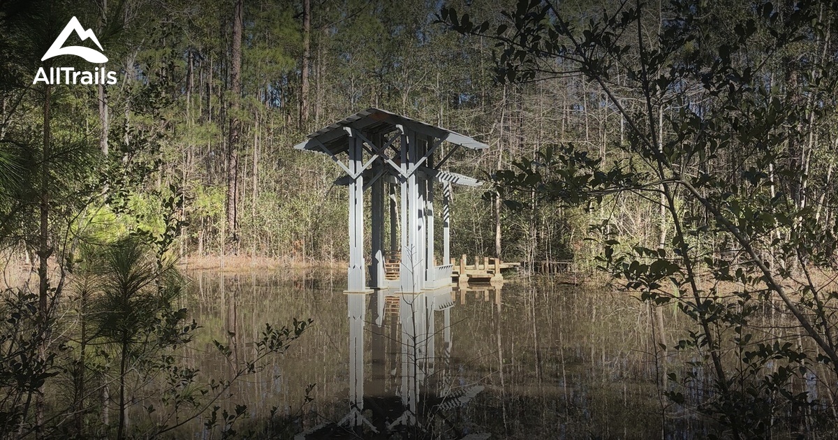 I migliori sentieri facili in Picayune | AllTrails