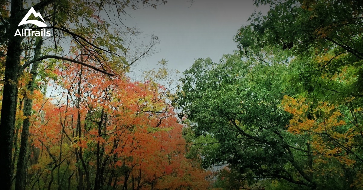 Best hikes and trails in Ava | AllTrails