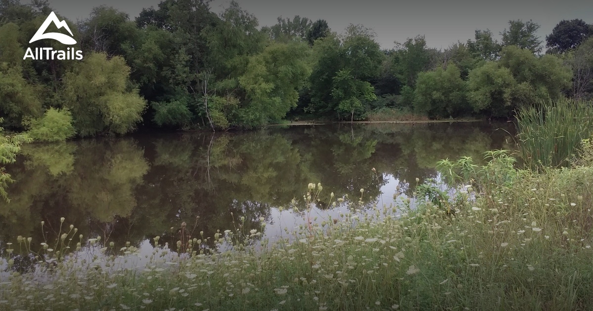 Best hikes and trails in Cowgill | AllTrails