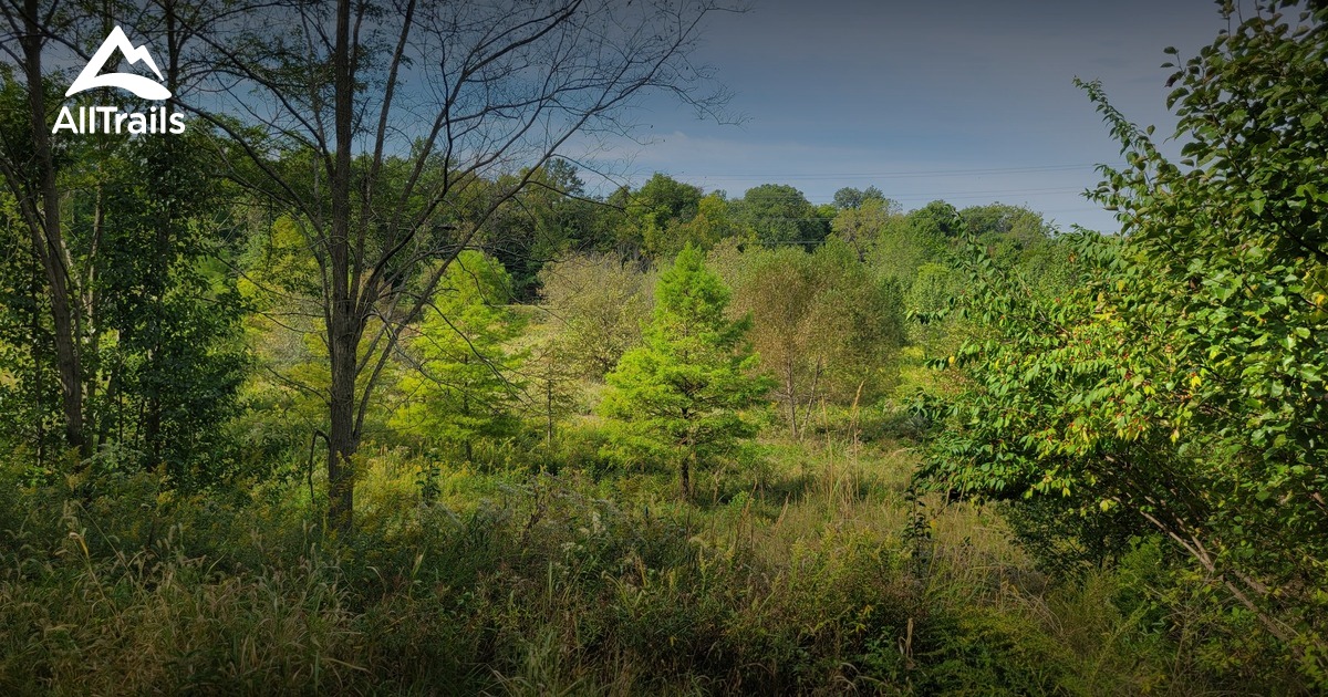 Best easy trails in Creve Coeur | AllTrails