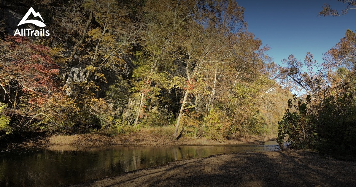 Best hikes and trails in Davisville | AllTrails