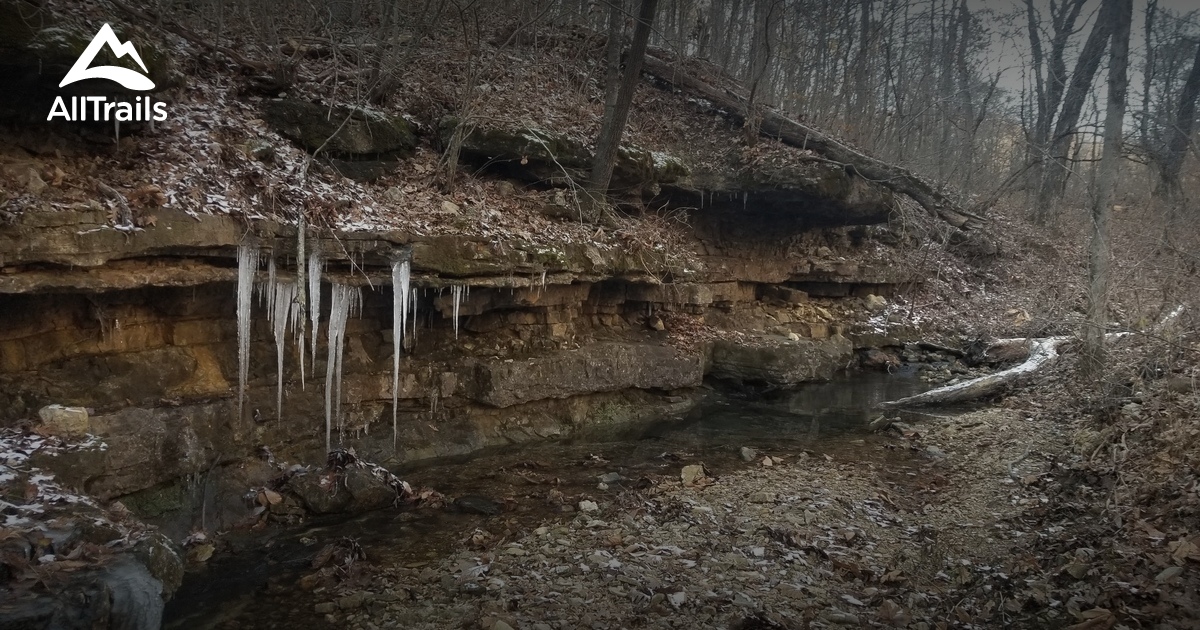 Best hikes and trails in Gainesville | AllTrails