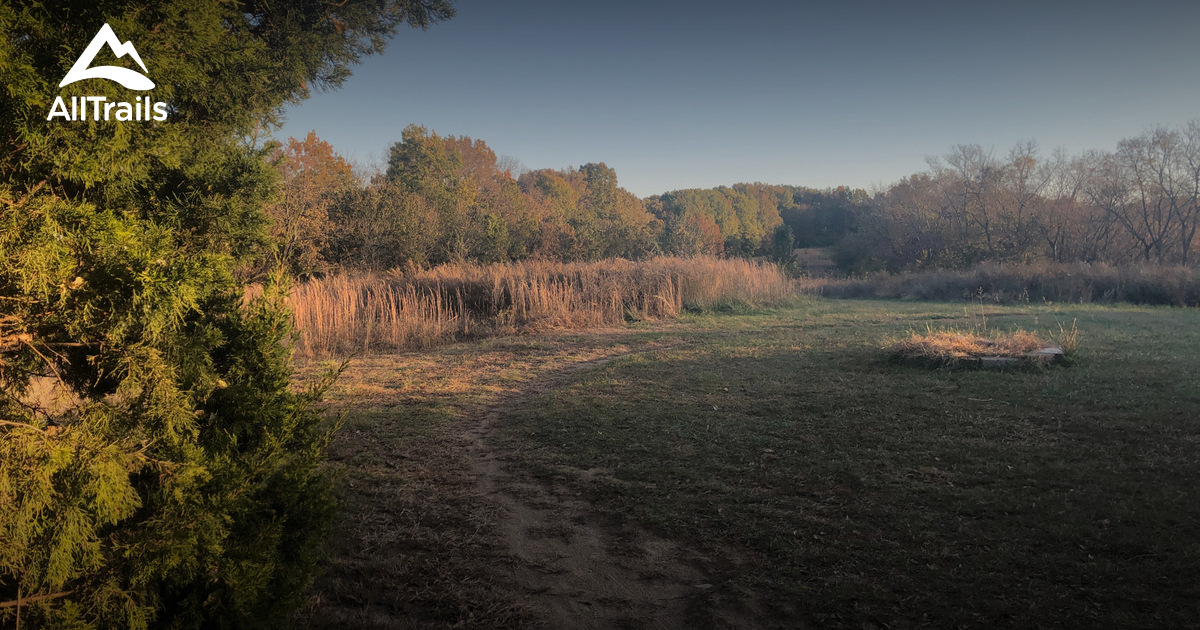 Best Forest Trails In Grain Valley Alltrails