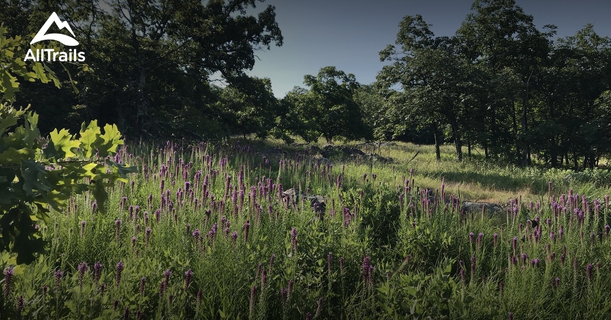 Best hikes and trails in Ironton | AllTrails