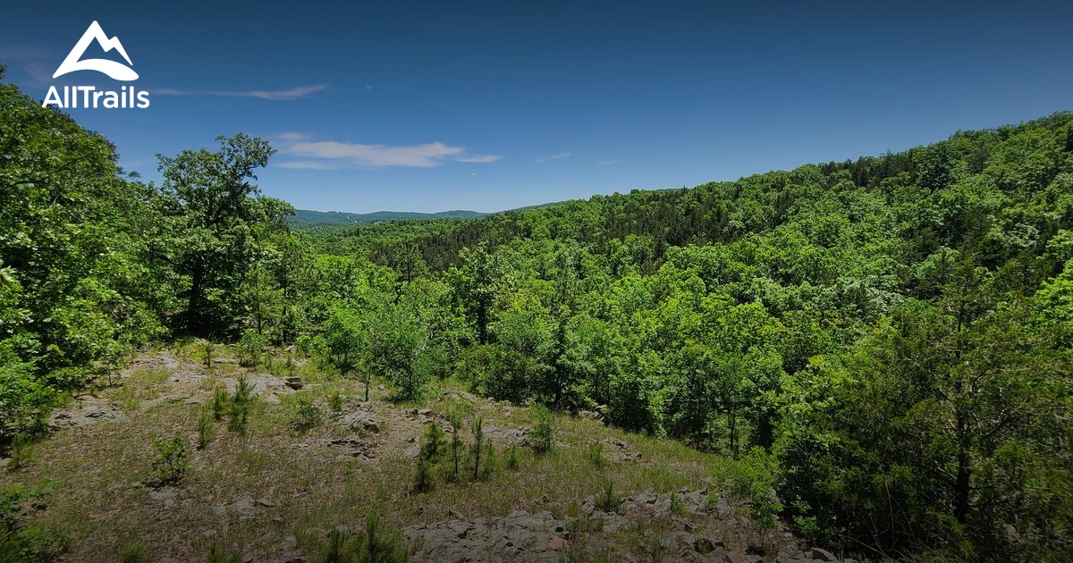 Best trail running trails in Middle Brook | AllTrails