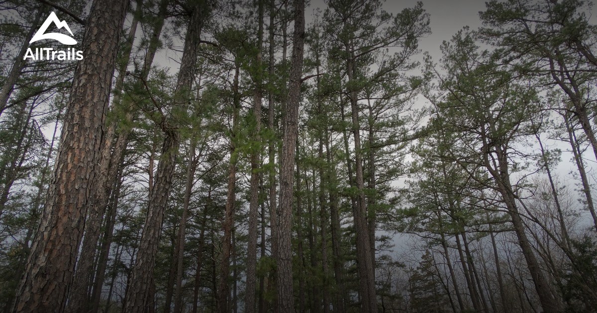 Best Views Trails in New Bloomfield | AllTrails