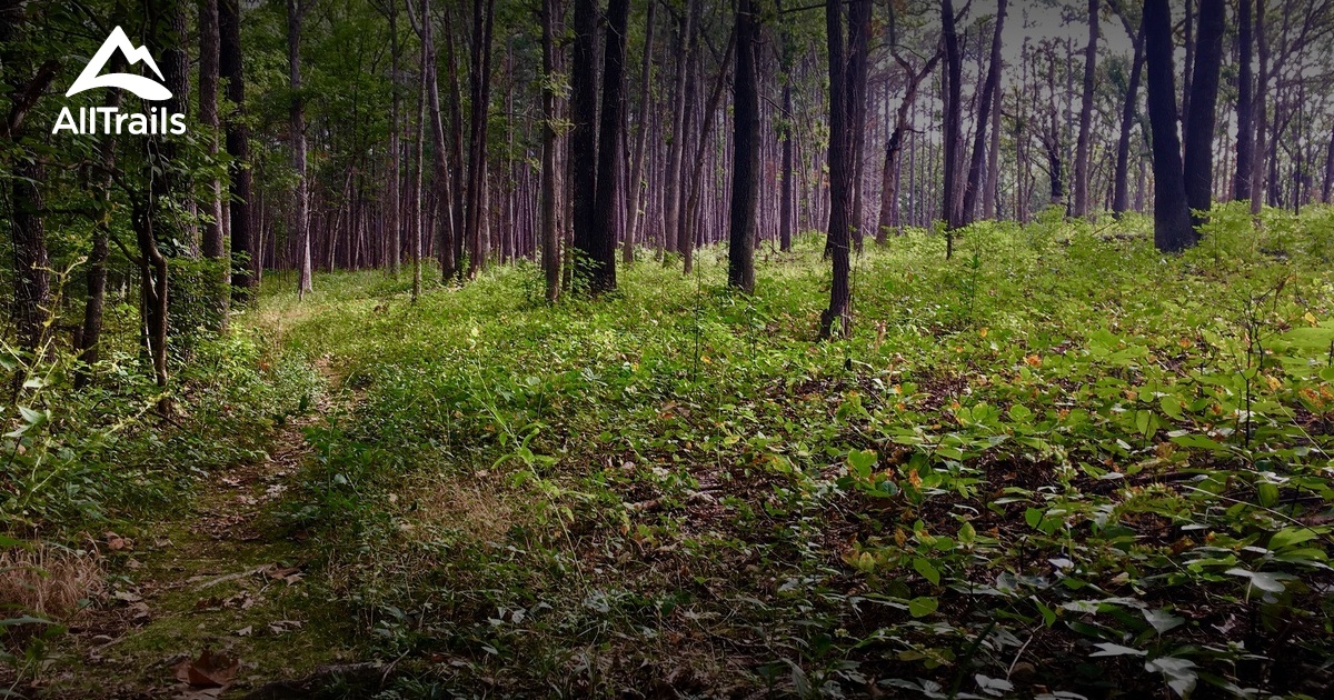 10 Best trails and hikes in Sullivan | AllTrails