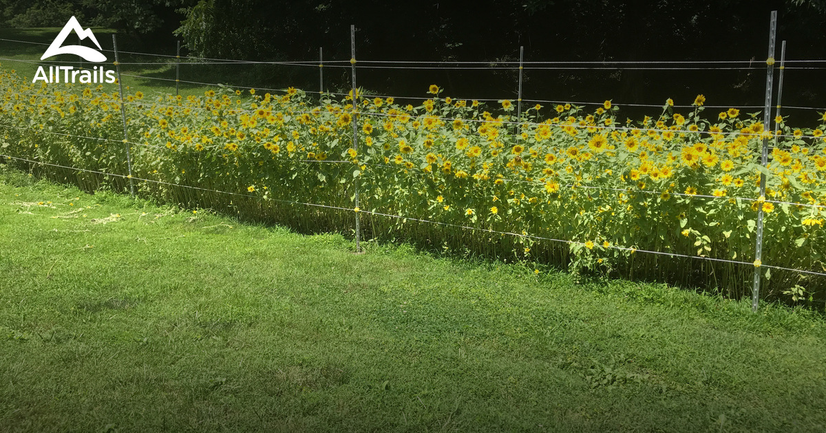 Best hikes and trails in Webster Groves | AllTrails