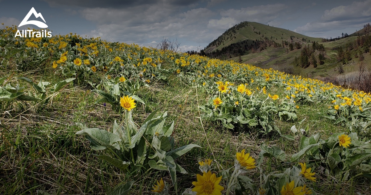 Best hikes and trails in Box Elder | AllTrails