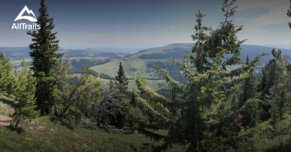Best hikes and trails in Bridger | AllTrails