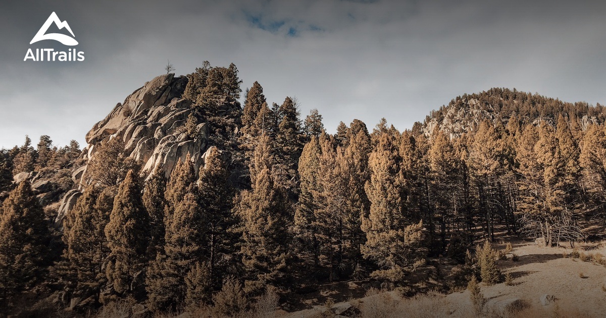 Best forest trails in Divide | AllTrails