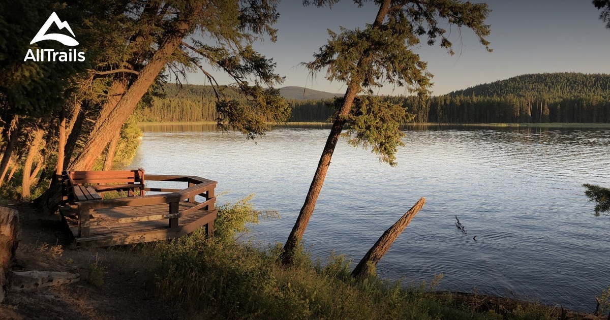 Best hikes and trails in Fortine | AllTrails