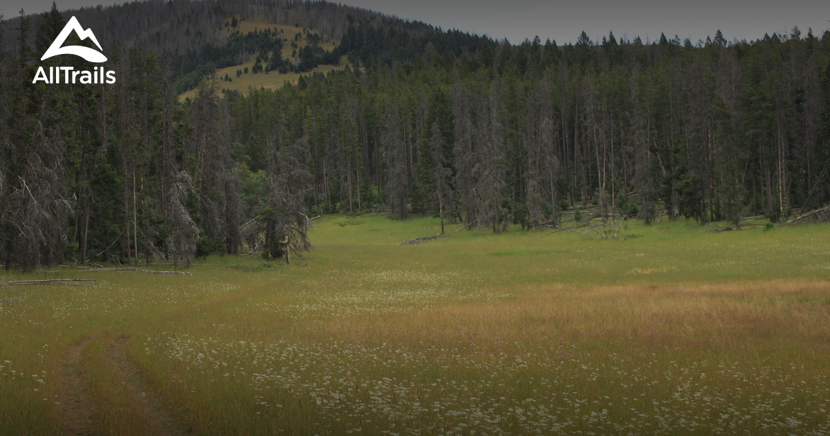 Best hikes and trails in Monarch | AllTrails