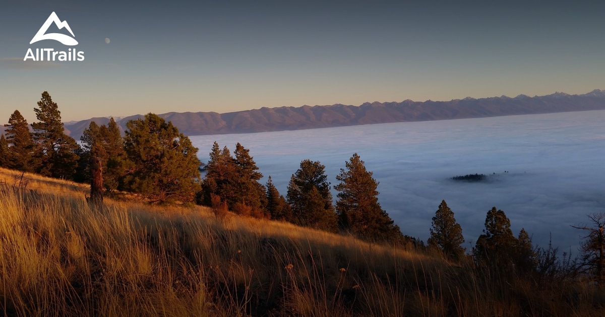 Best lake trails in Polson | AllTrails