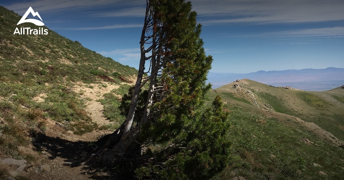 Best hikes and trails in Deeth | AllTrails