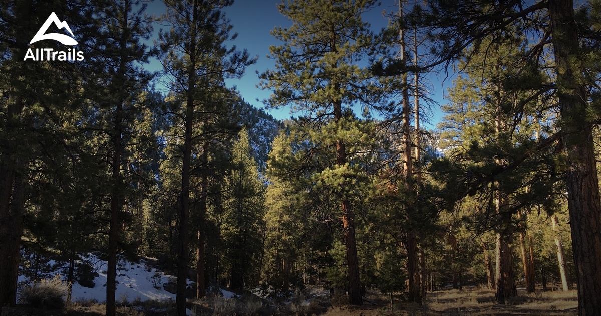 10 Best trails and hikes in Indian Springs | AllTrails