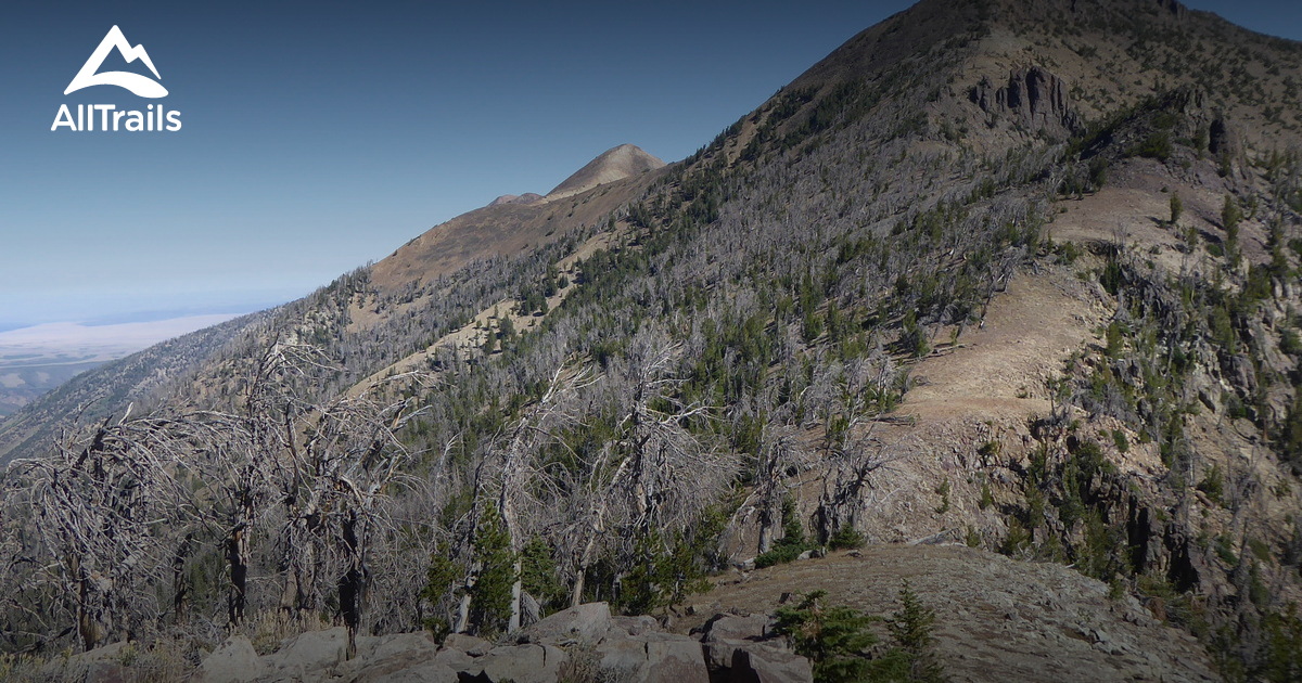 Best trails in Jarbidge, Nevada | AllTrails