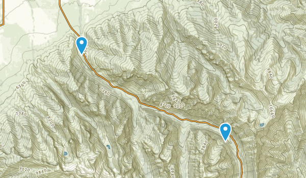 Best Trails near Lamoille, Nevada | AllTrails