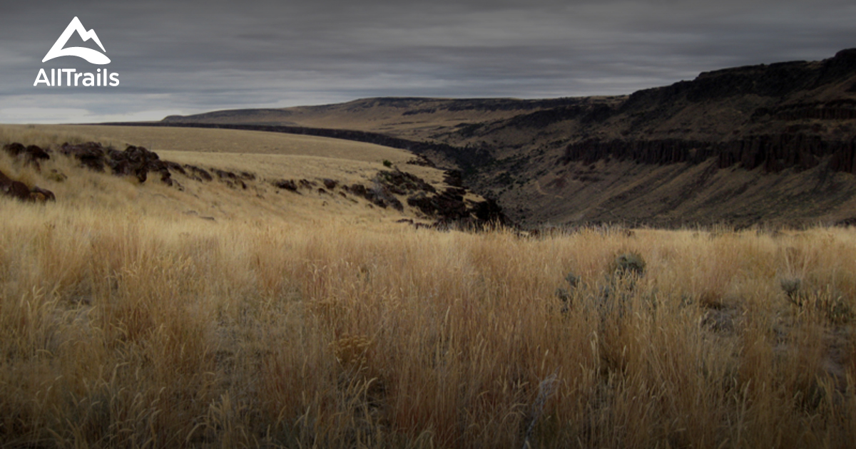 Best hikes and trails in Owyhee | AllTrails