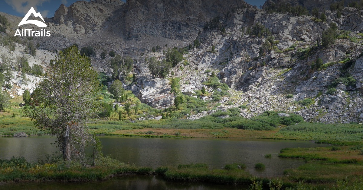 10 Best trails and hikes in Spring Creek | AllTrails