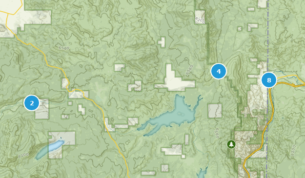 Best Trails near Verdi, Nevada | AllTrails