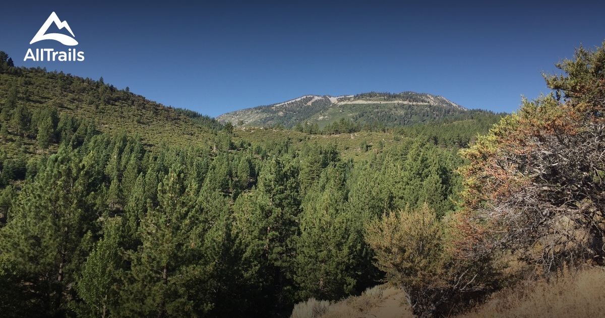 Best Trails near Washoe Valley, Nevada | AllTrails