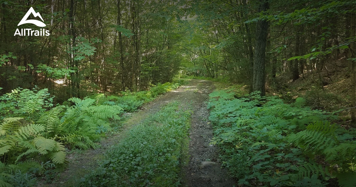 Best hikes and trails in Alstead | AllTrails