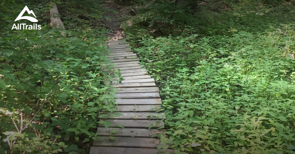 Best Trails near Atkinson, New Hampshire | AllTrails