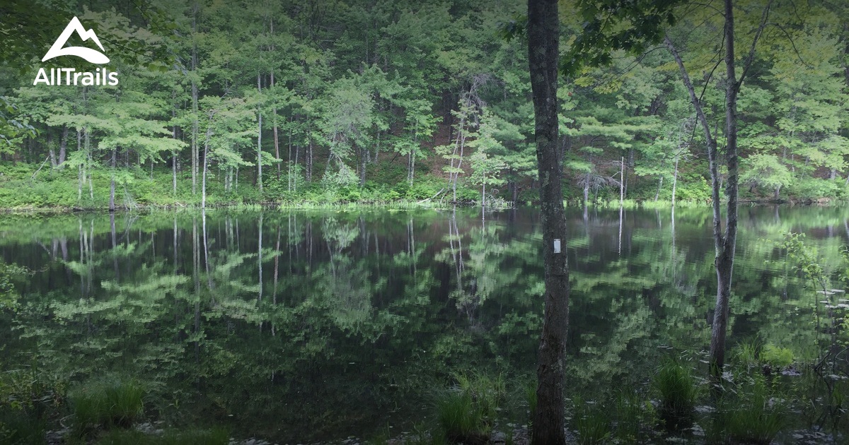 10 Best trails and hikes in Atkinson | AllTrails